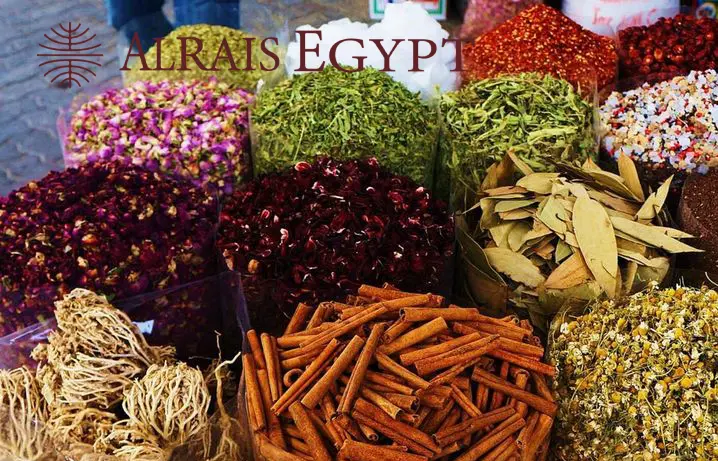 Bulk Supply of Commonly Used Herbs for Export | Alrais Egypt